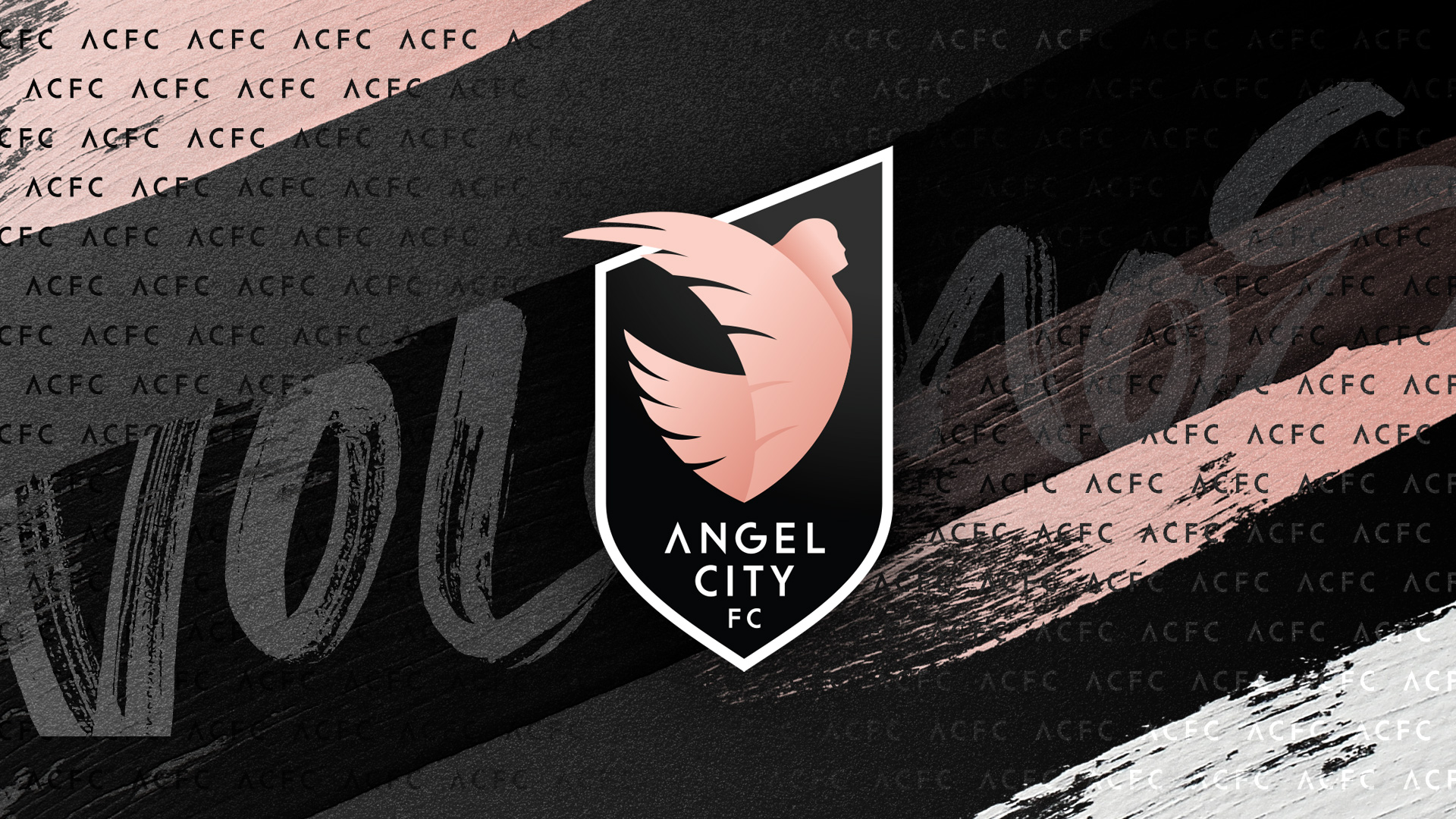 Charlie Co | Angel City In Stadium